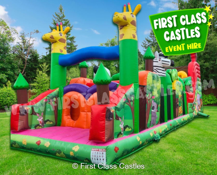 First Class Castles - Mega Inflatable Bouncy Slides for Hire Ireland.
